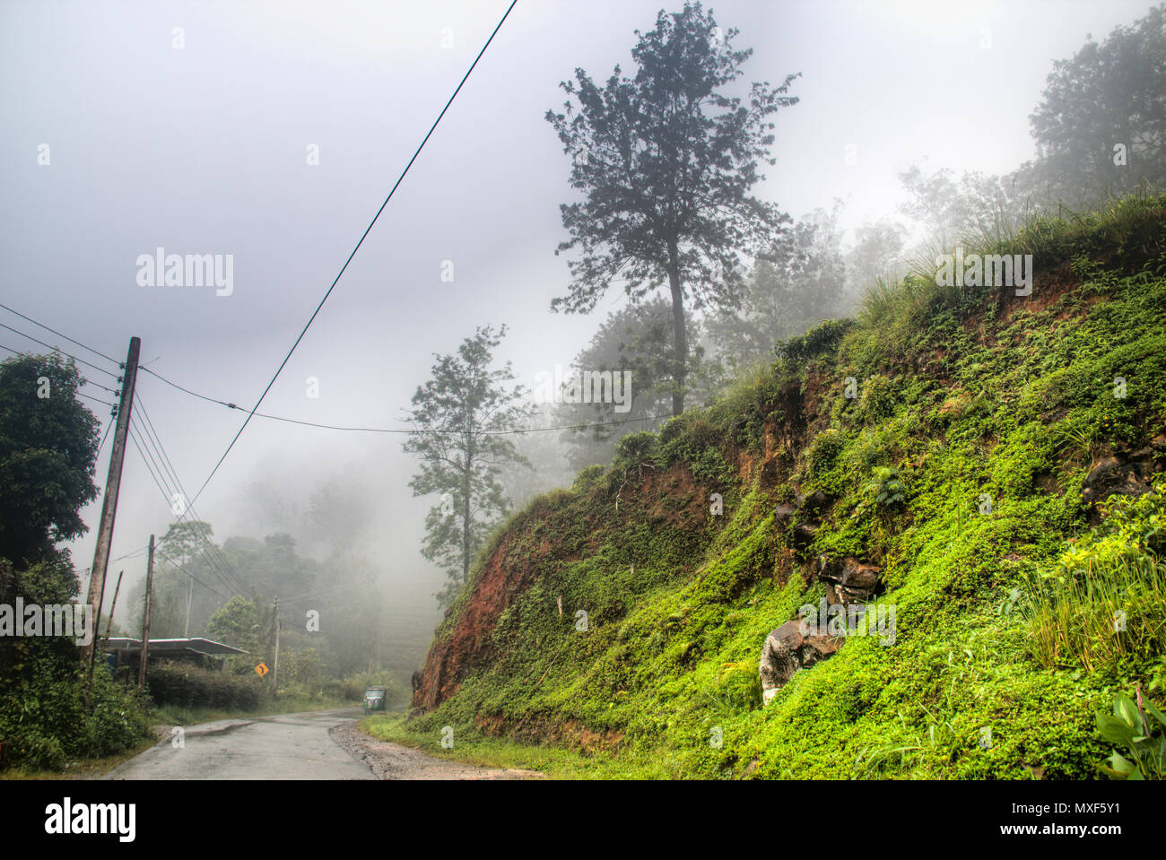 The area of the Knuckles mountains around Kandy in Sri Lanka provide ...