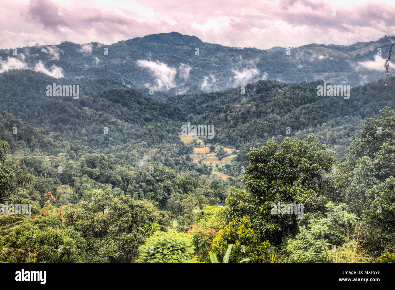 The area of the Knuckles mountains around Kandy in Sri Lanka provide ...