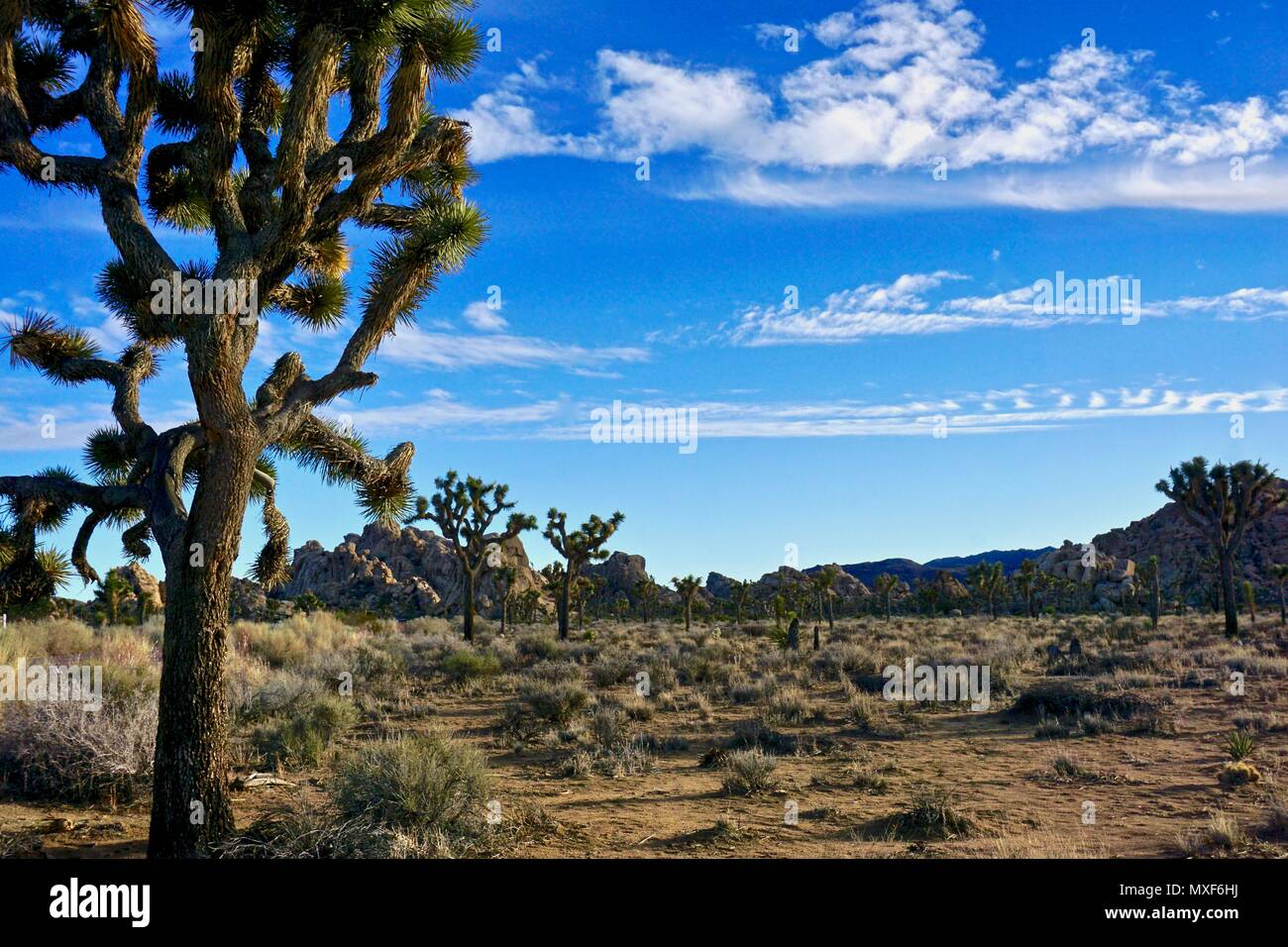 Featuring destinations hi-res stock photography and images - Alamy