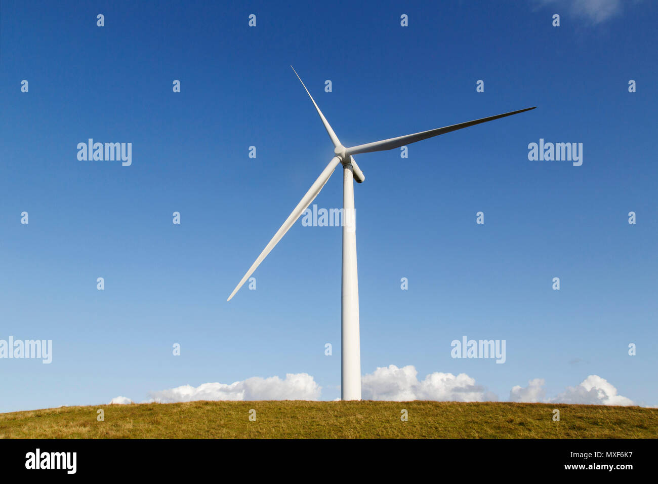 One environmentally friendly power generation wind power turbines in a ...
