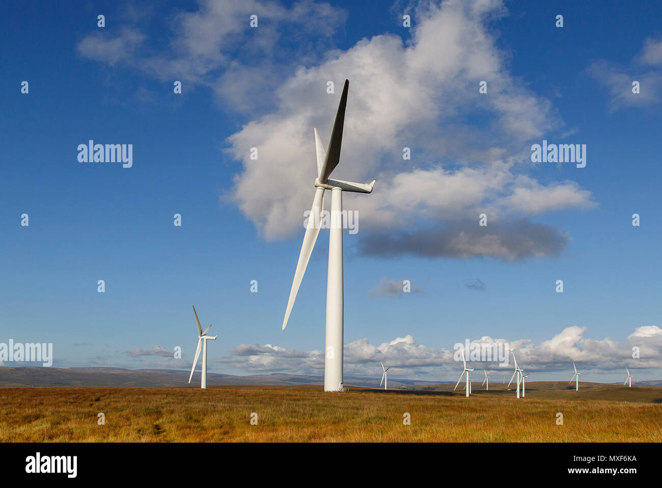 Environmentally friendly power generation wind power turbines in a ...