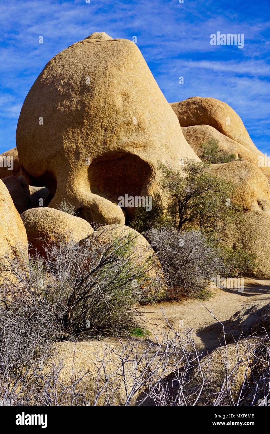 Skull Rock geological formation in Joshua Tree National Park Stock ...