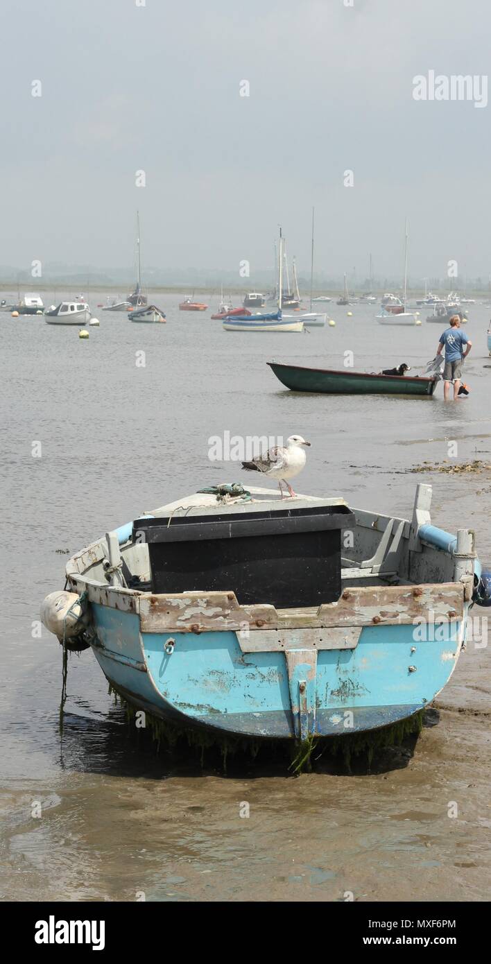 Coastal scenes - solitary gull perches on bow of a small blue fishing ...