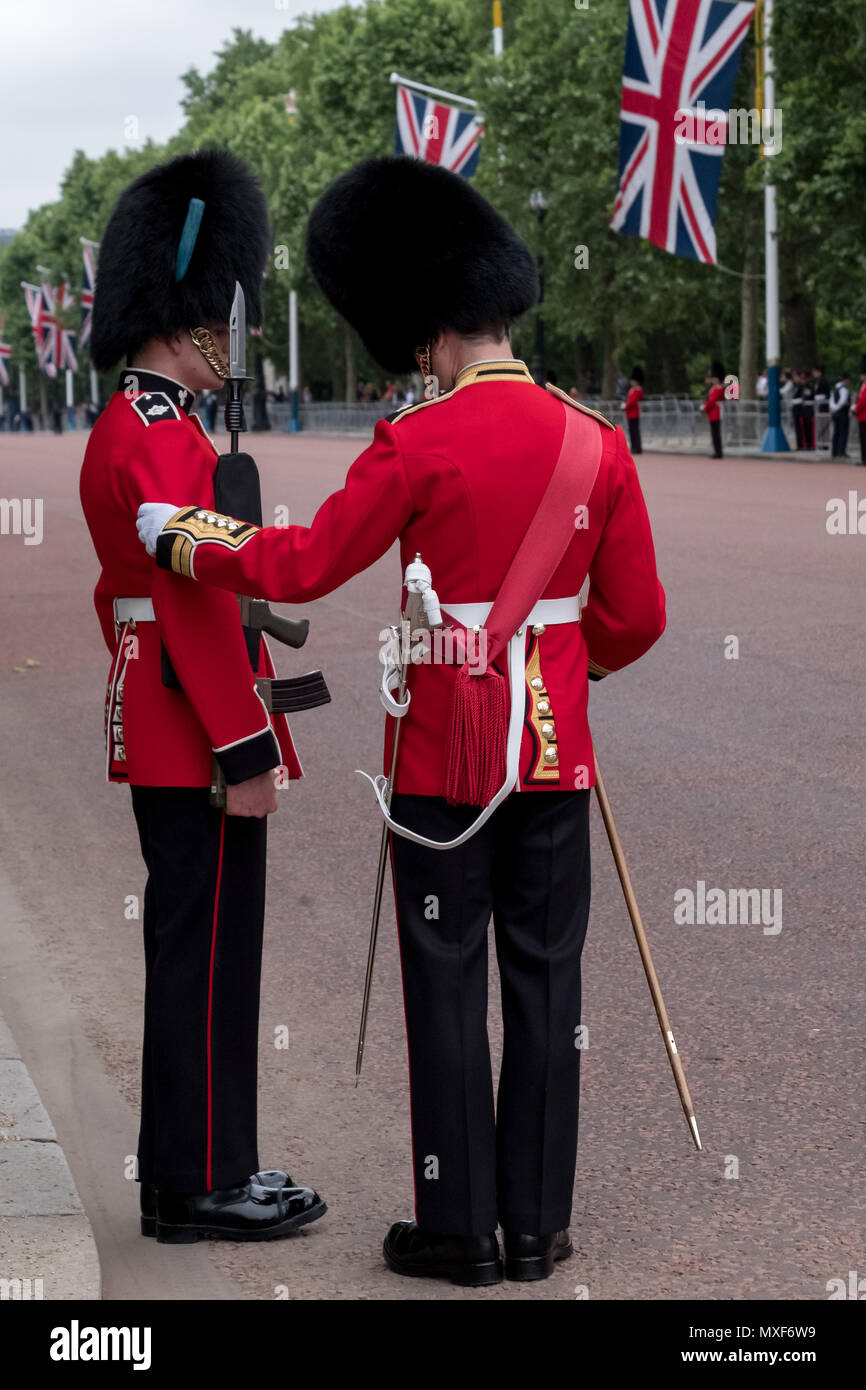 Bearskin Hat Stock Photos & Bearskin Hat Stock Images - Alamy