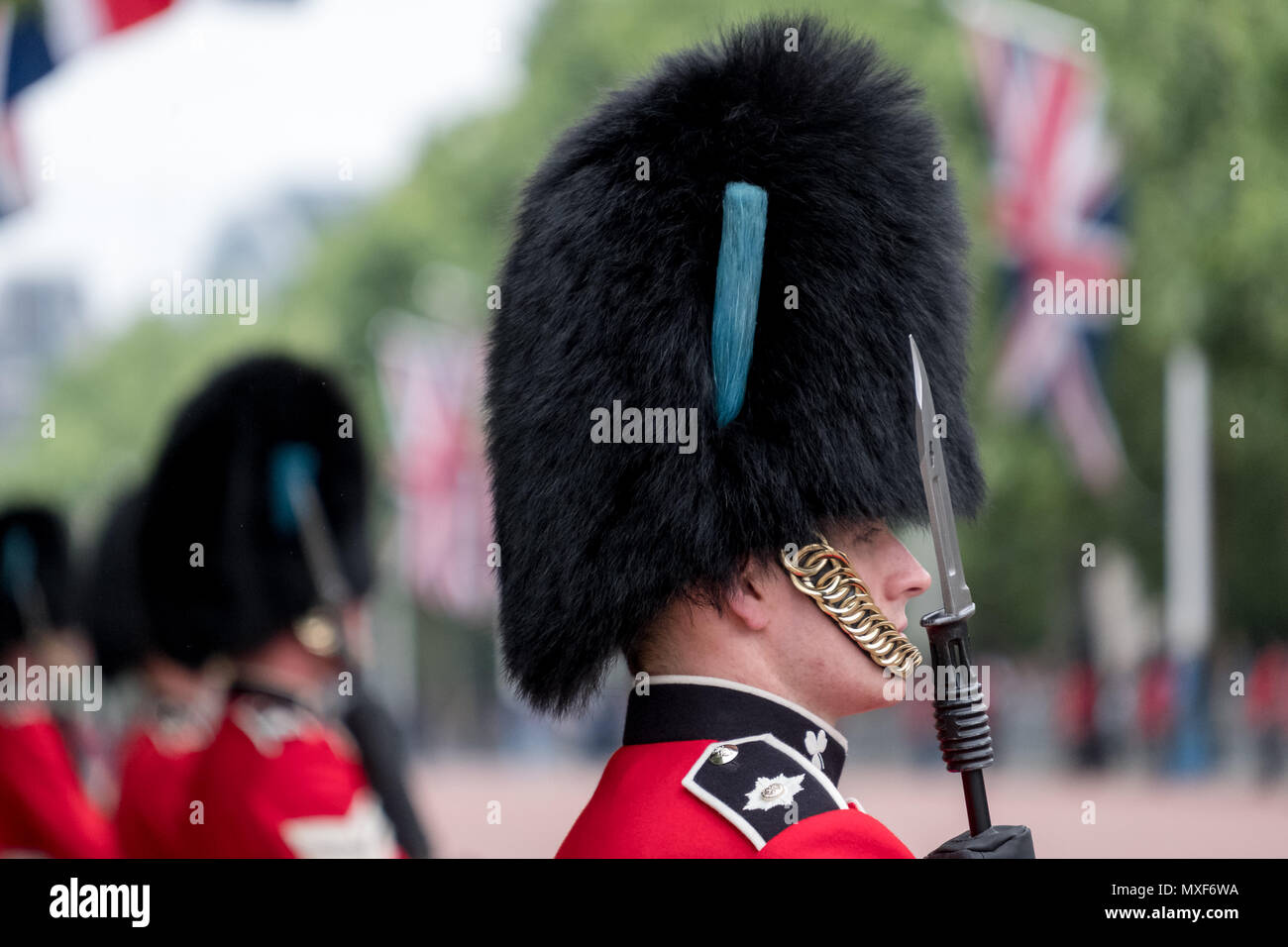 Security guardsmen hi-res stock photography and images - Alamy