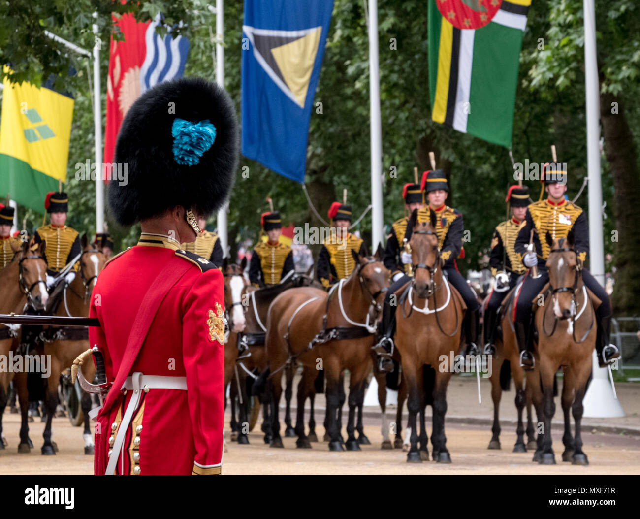 Royal Guard stands to attention as Household Cavalry passes by at The ...