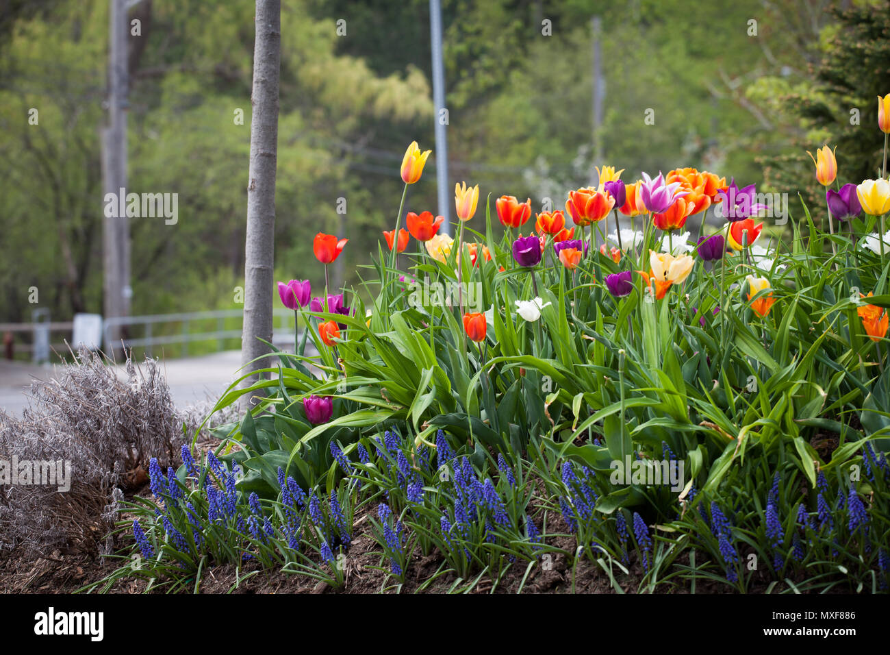 Spring getaway hi-res stock photography and images - Alamy