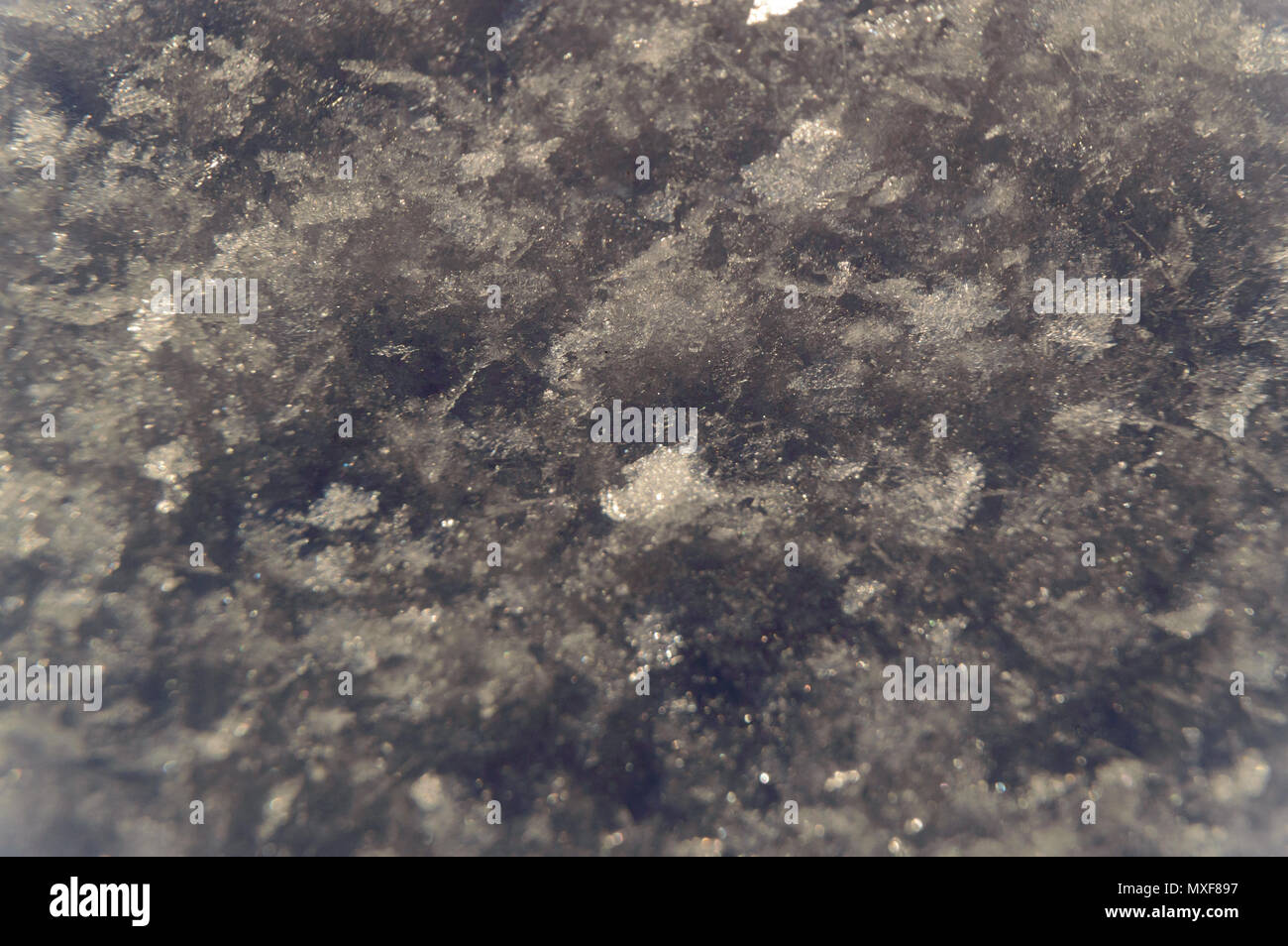 Sparkling snow flakes in winter sun Stock Photo - Alamy