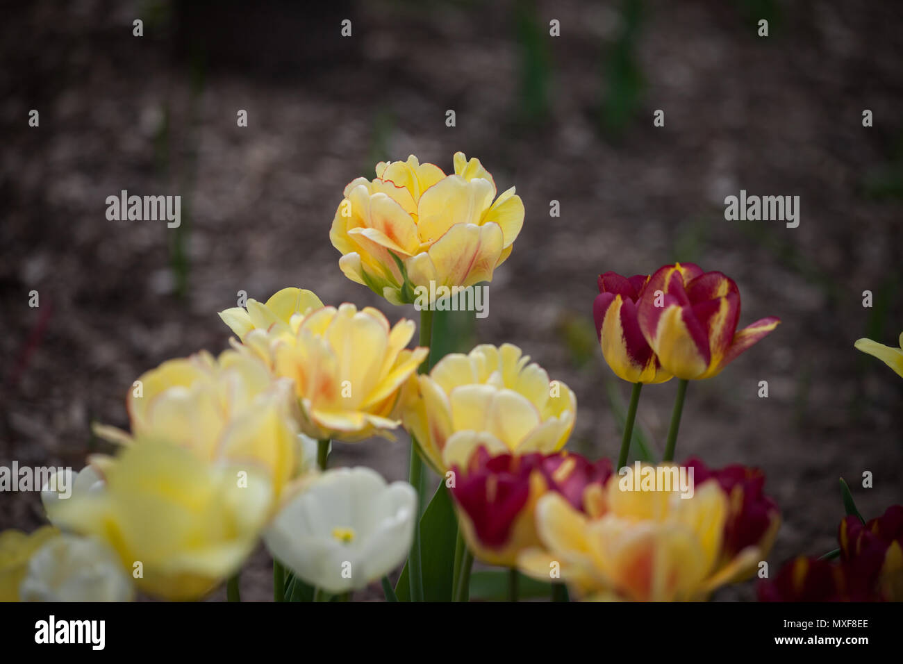 Spring getaway hi-res stock photography and images - Alamy