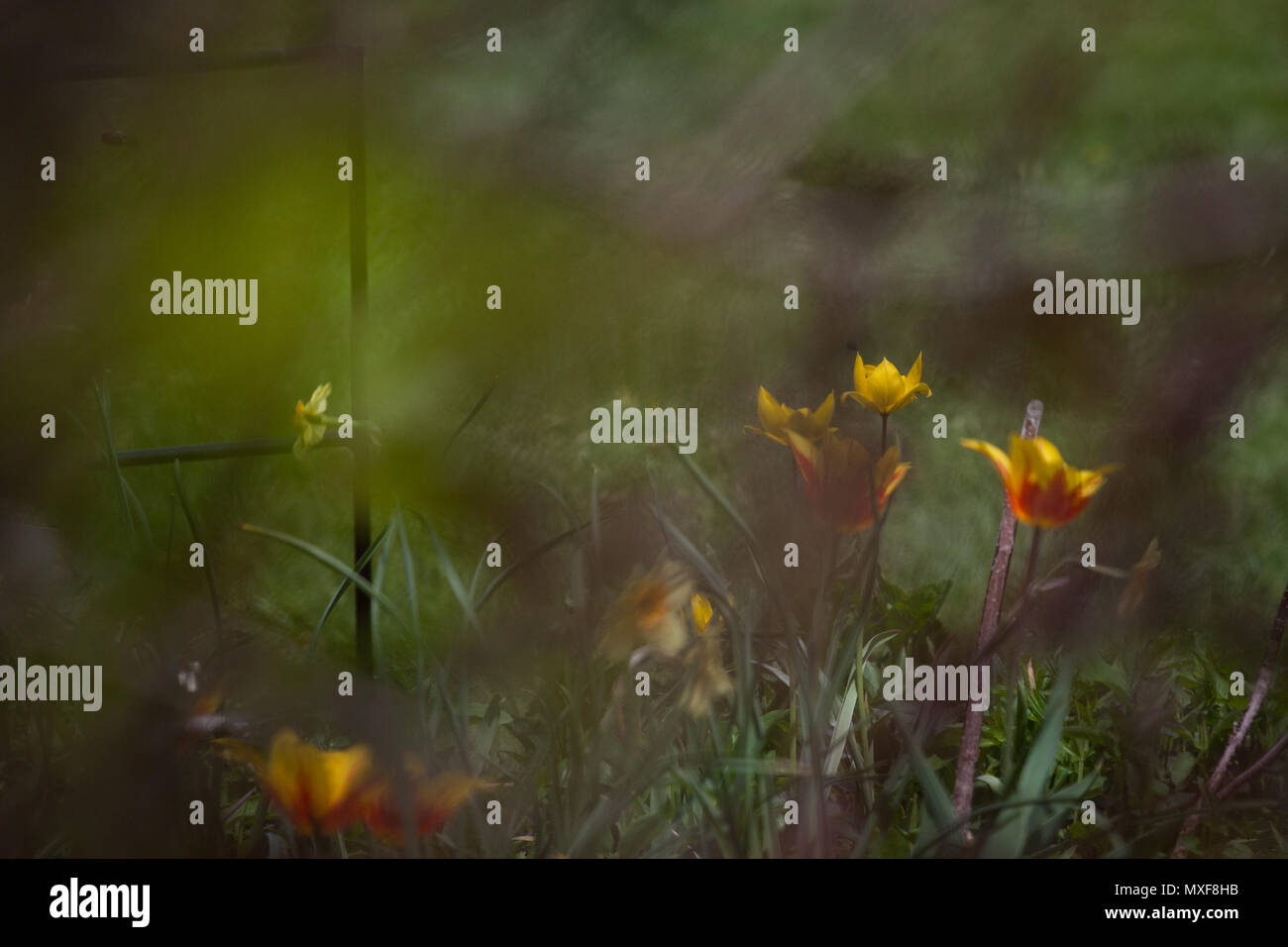 Spring weekend hi-res stock photography and images - Alamy