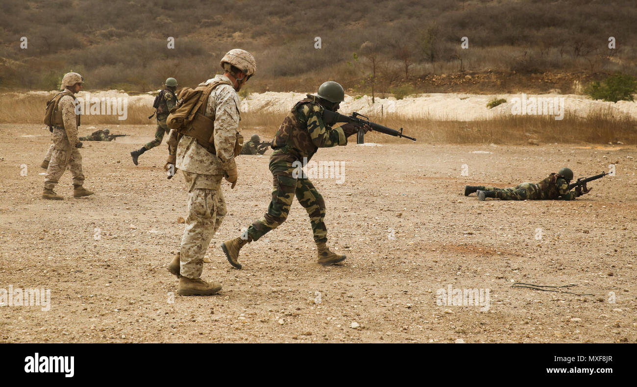 Live fire platoon attack range hi-res stock photography and images - Alamy