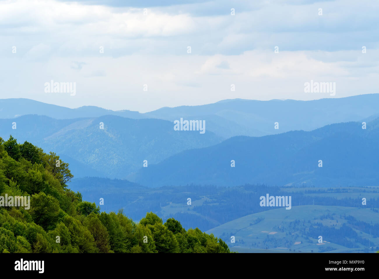 Magnificent landscape with blue mountains on the horizon Stock Photo ...