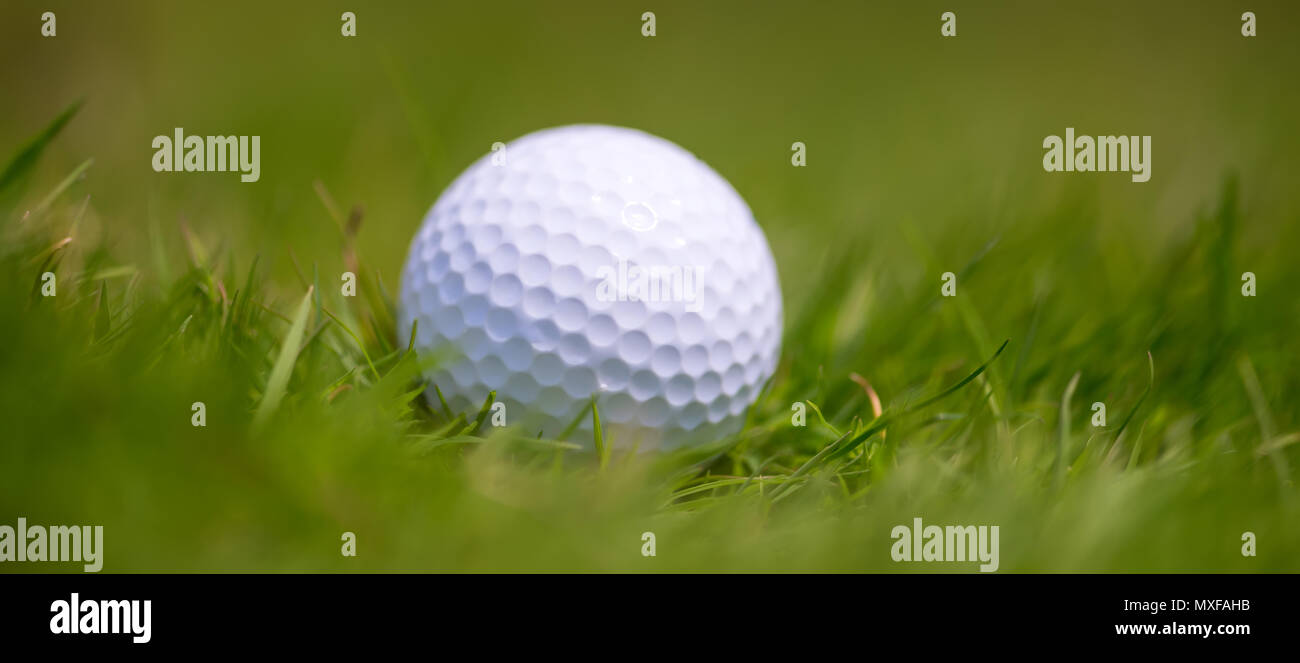 Golf ball in grass hi-res stock photography and images - Alamy