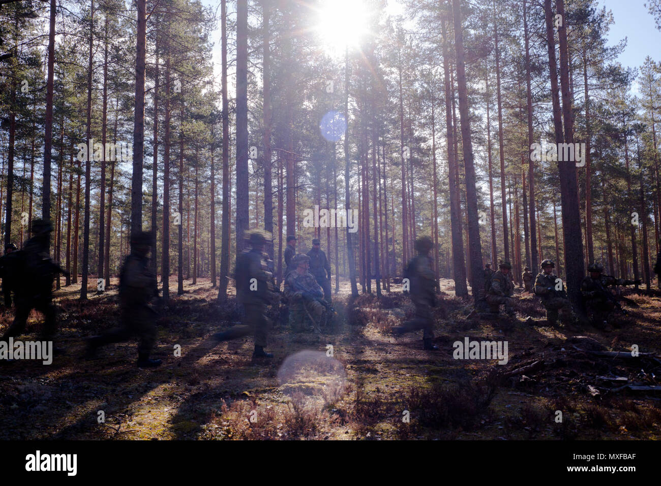 U.S. Soldiers of Apache Troop, 1st Squadron, 2nd Cavalry Regiment, pull ...
