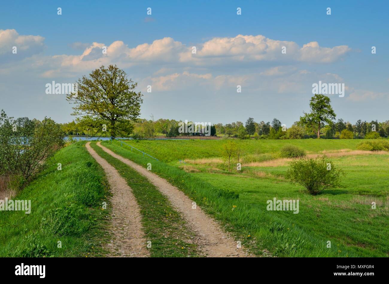 Rural landscape scenery hi-res stock photography and images - Alamy