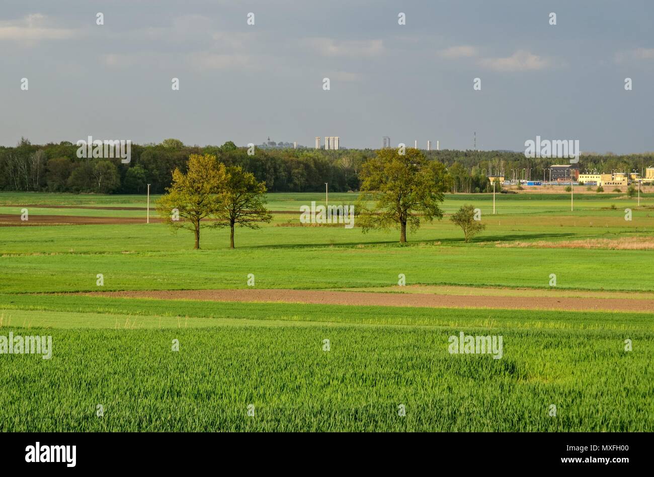 Rural leaf hi-res stock photography and images - Alamy