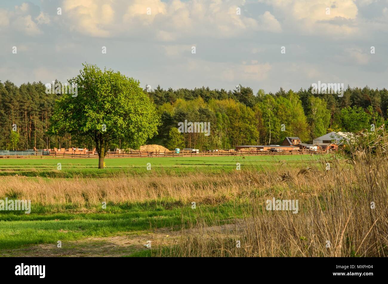 Rural spring landscape. Beautiful green meadow in the countryside Stock ...