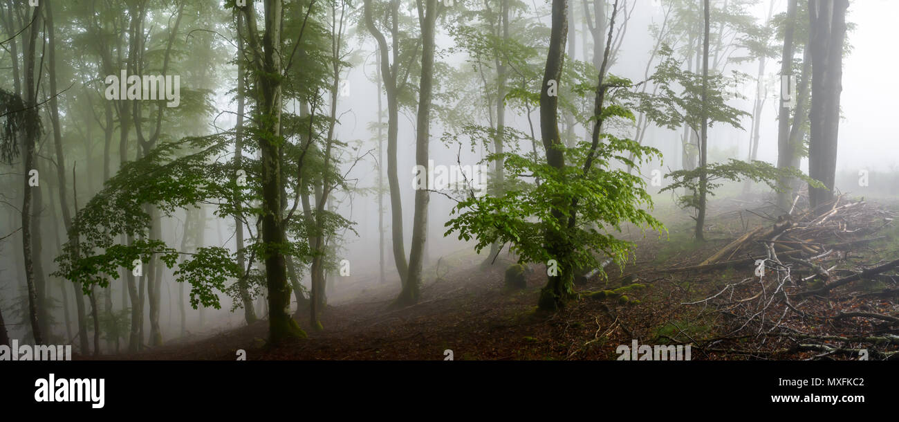 Clammy weather hi-res stock photography and images - Alamy