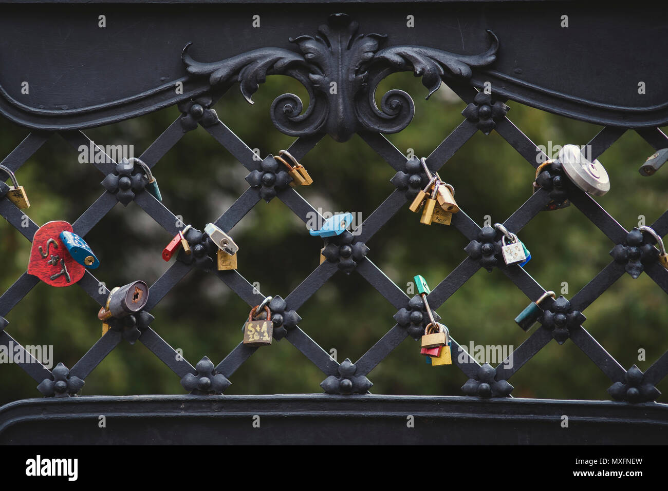 love padlocks hooked to an old iron gate with a green background Stock ...
