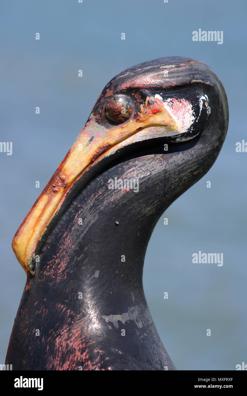 Stylised cormorant hi-res stock photography and images - Alamy