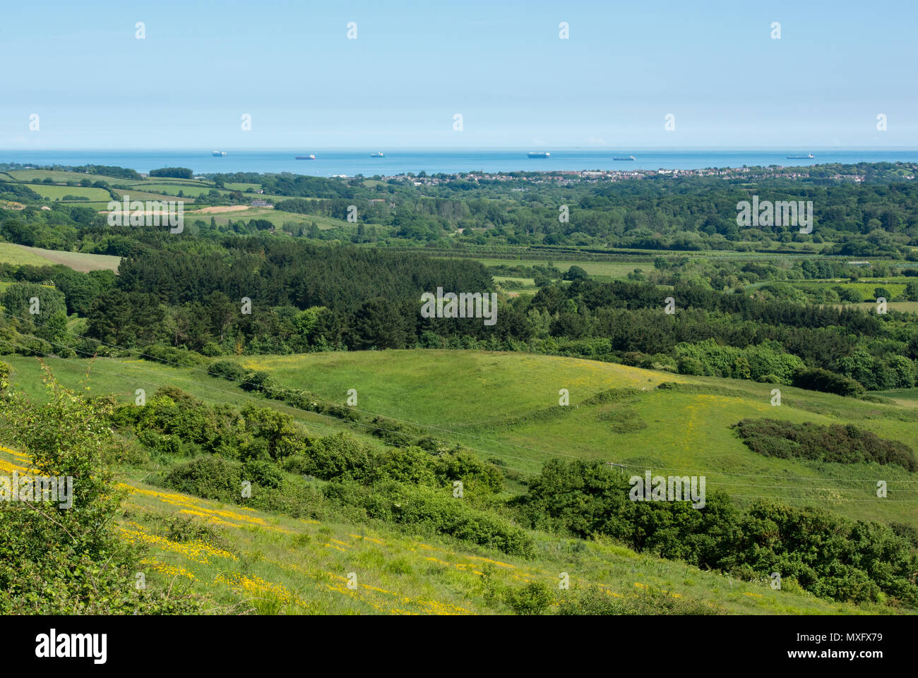 An Isle of Wight landscape view over the green and beautiful summer ...