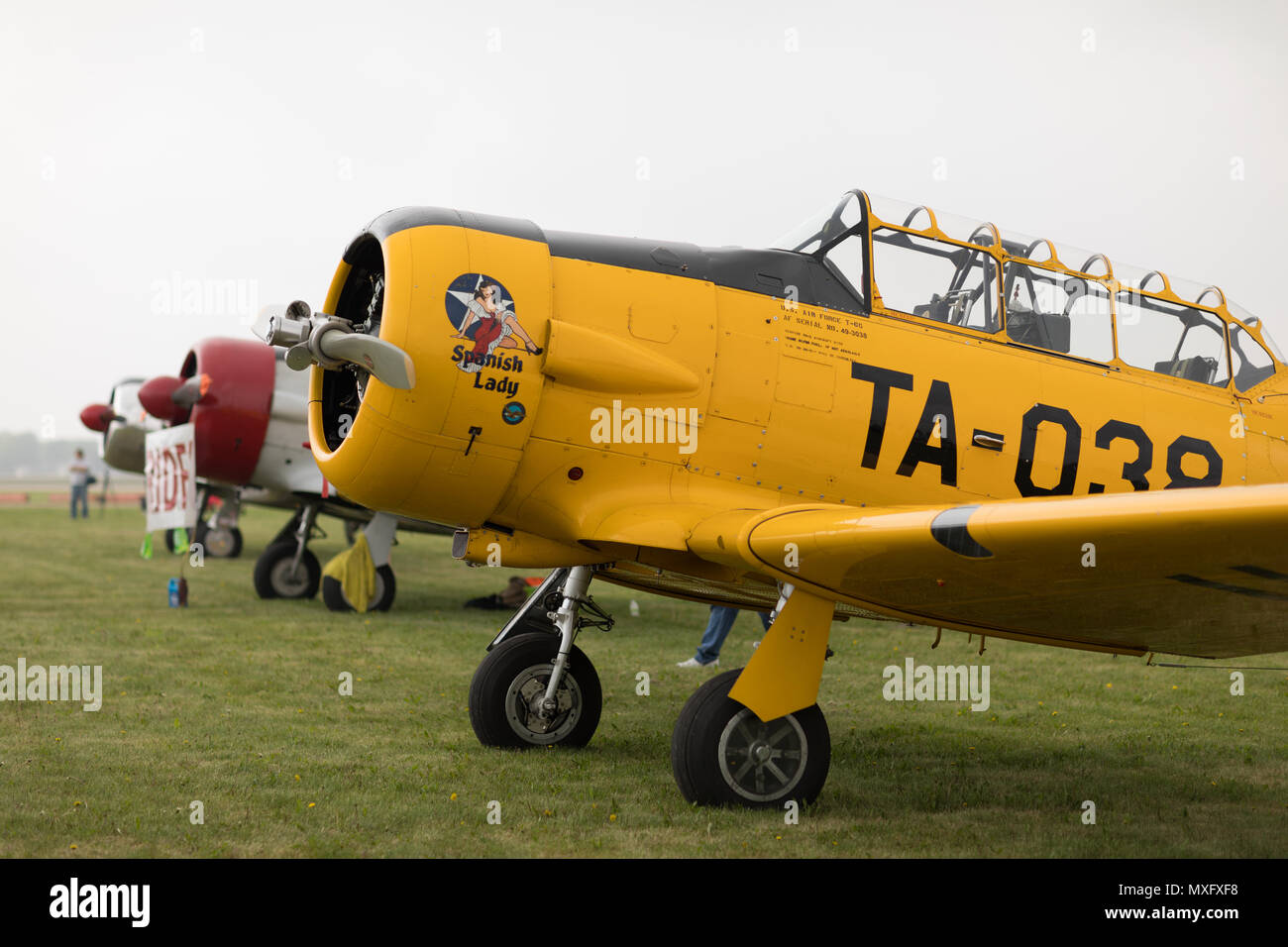 T 6 texan hi-res stock photography and images - Alamy