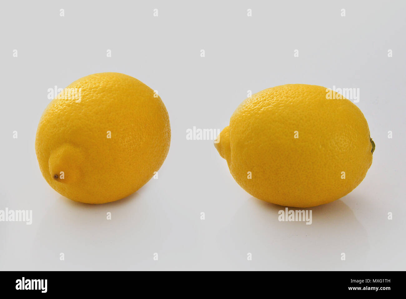 Two fresh lemons with thick yellow peel on a white background Stock ...