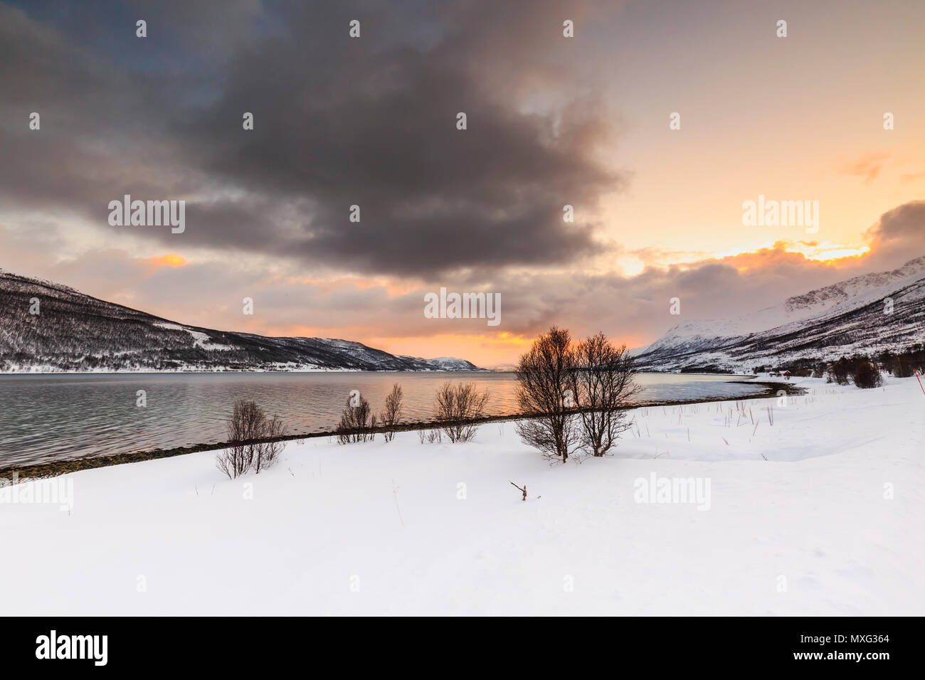 Typical norwegian coastline with rocks at low tide at a fjord in Troms ...