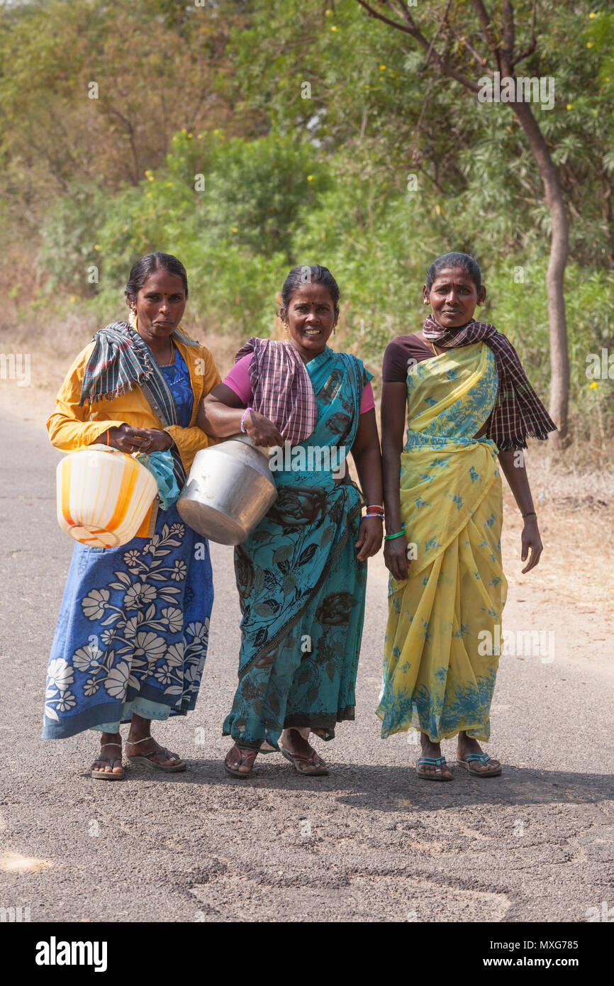 Asia, India, Tamil Nadu, Agarapatti, Indian woman carrying pot of water ...