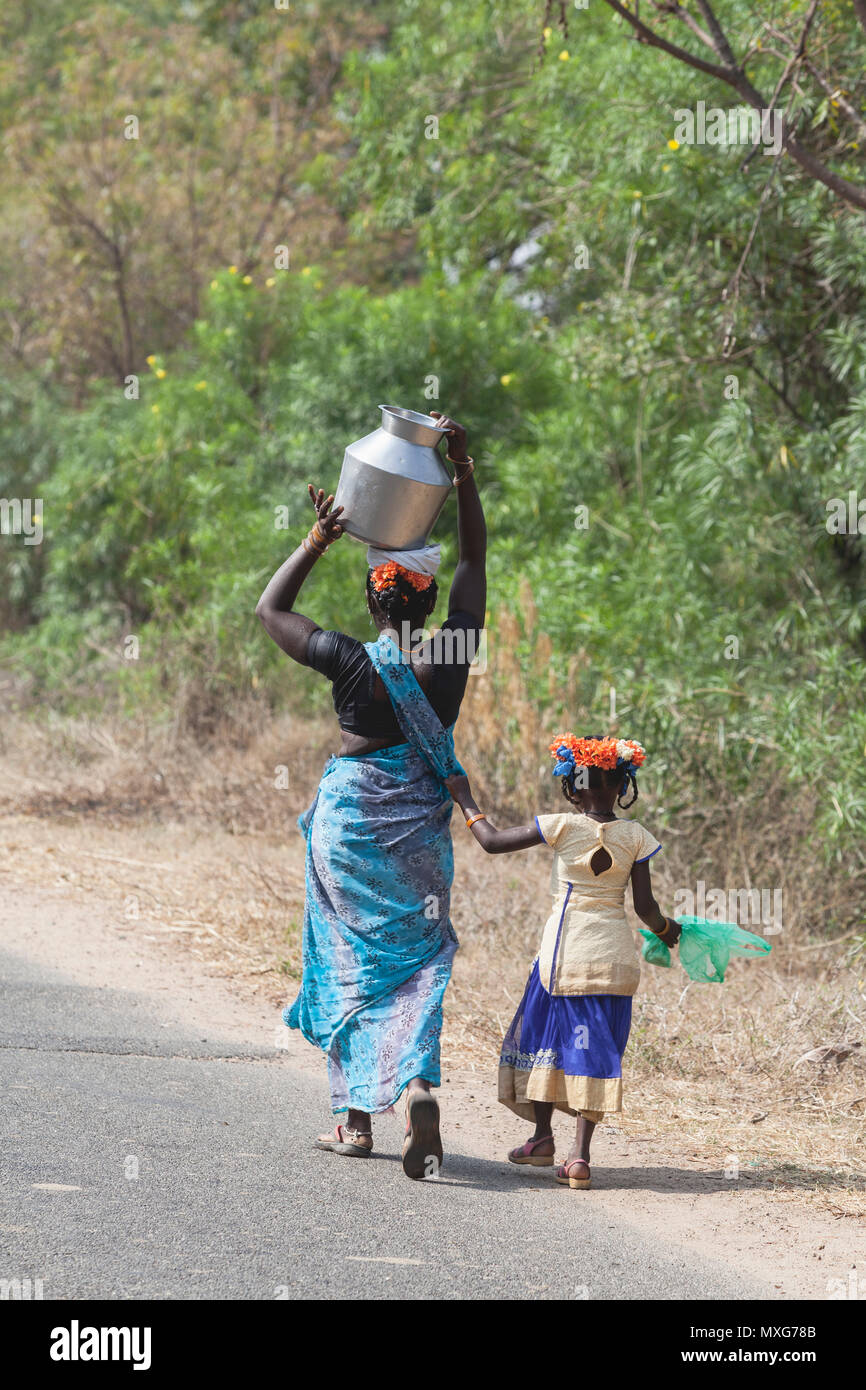 Asia, India, Tamil Nadu, Agarapatti, Indian woman carrying pot of water ...