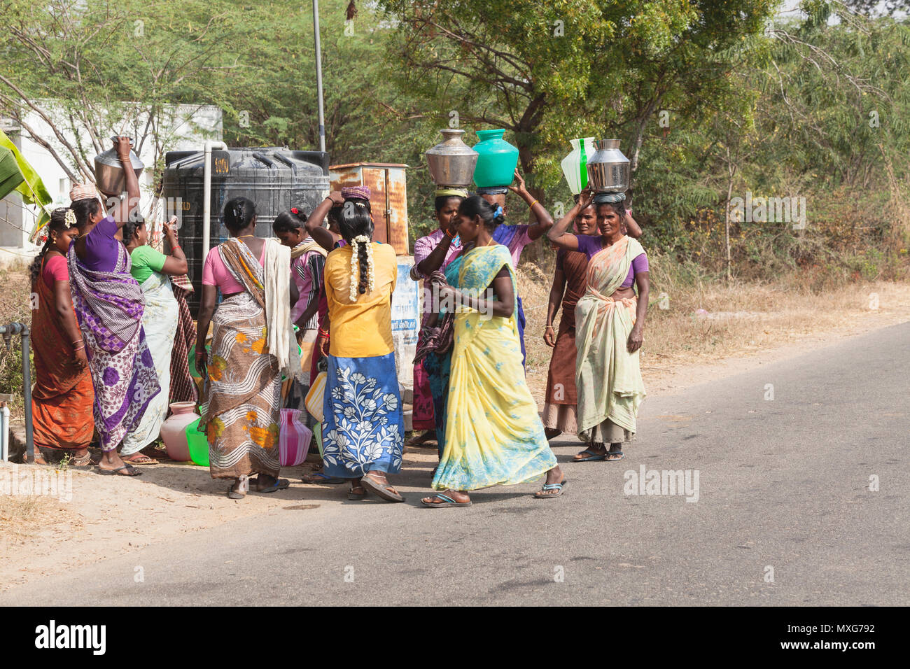 Asia, India, Tamil Nadu, Agarapatti, Indian woman carrying pot of water ...