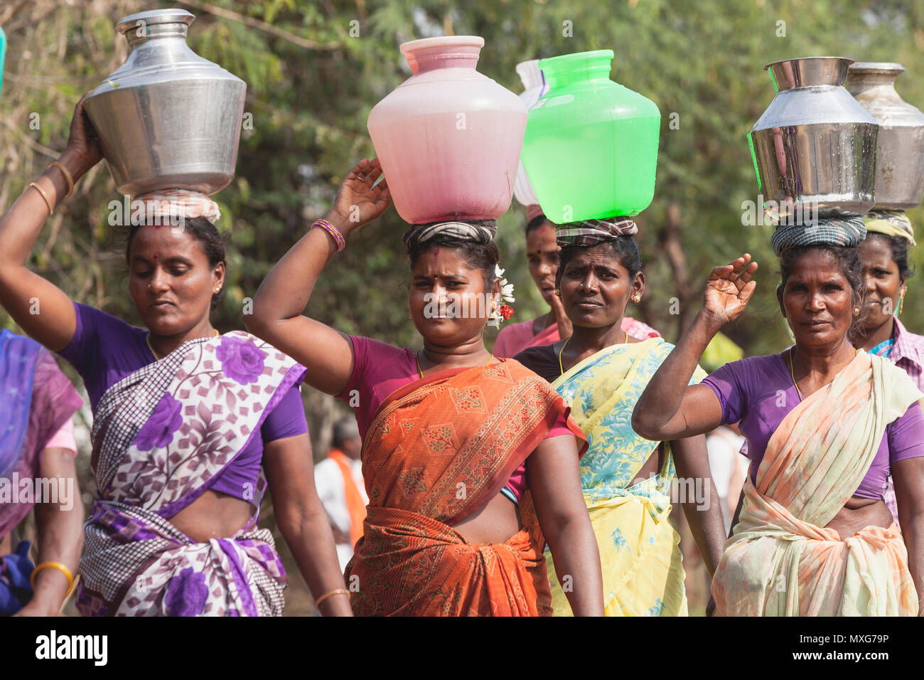 Asia, India, Tamil Nadu, Agarapatti, Indian woman carrying pot of water ...