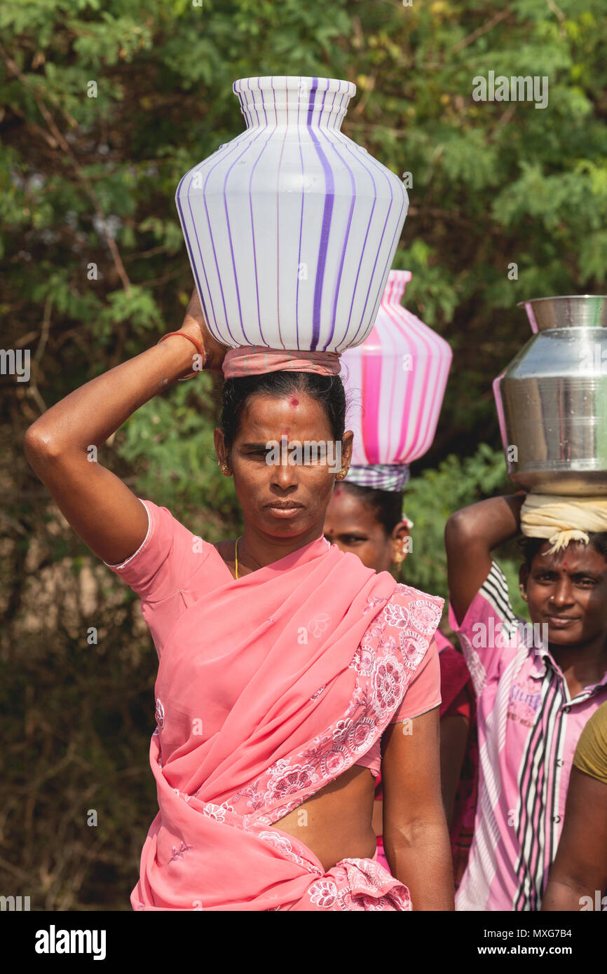 Asia, India, Tamil Nadu, Agarapatti, Indian woman carrying pot of water ...