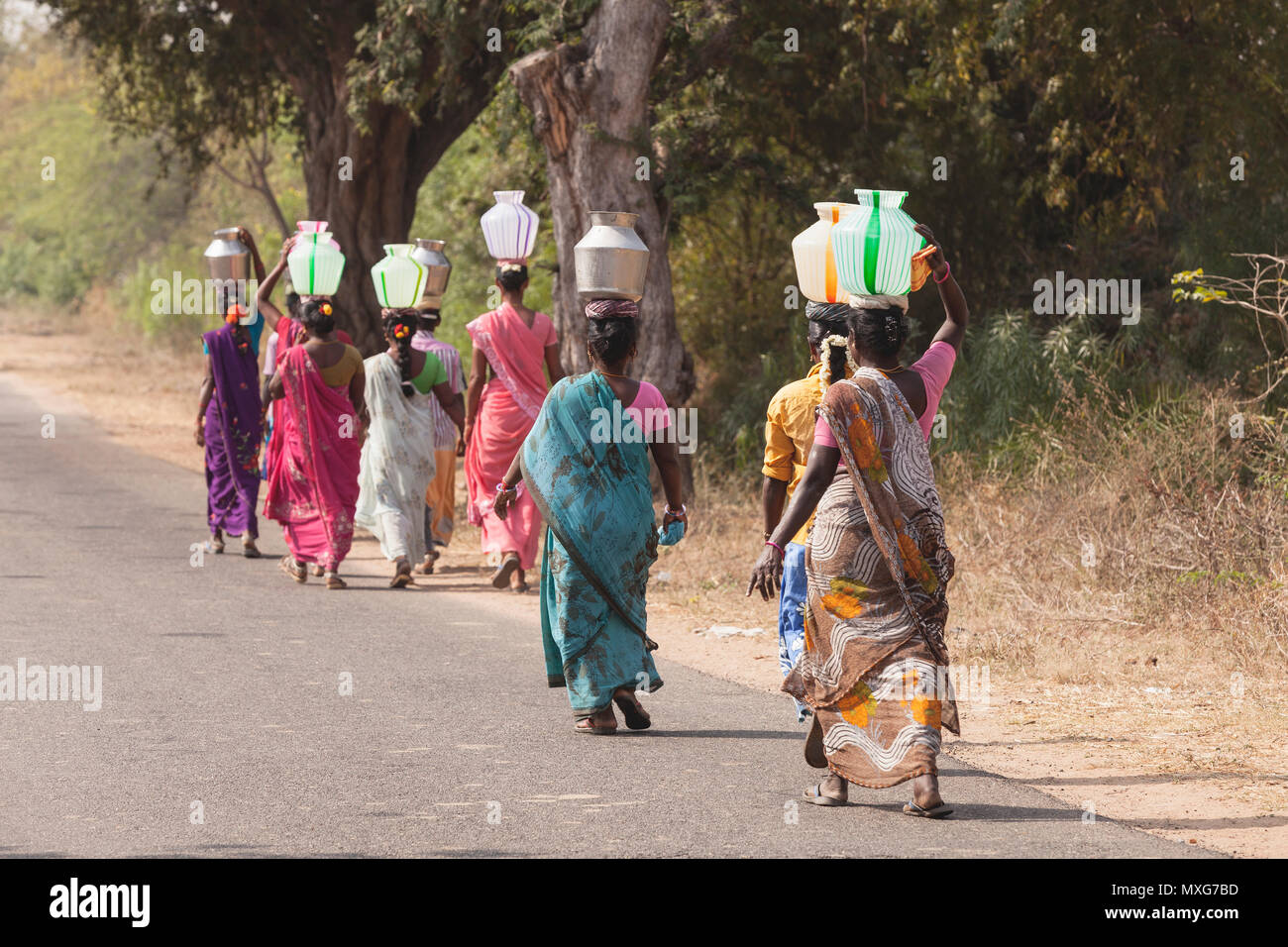Tamil women carrying pots on hi-res stock photography and images - Alamy