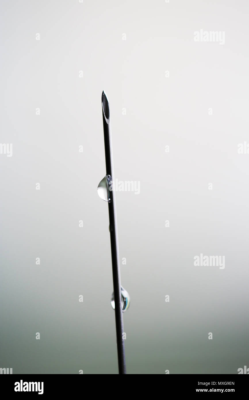 Medical needle for syringe with drops of medicine close up macro photo ...