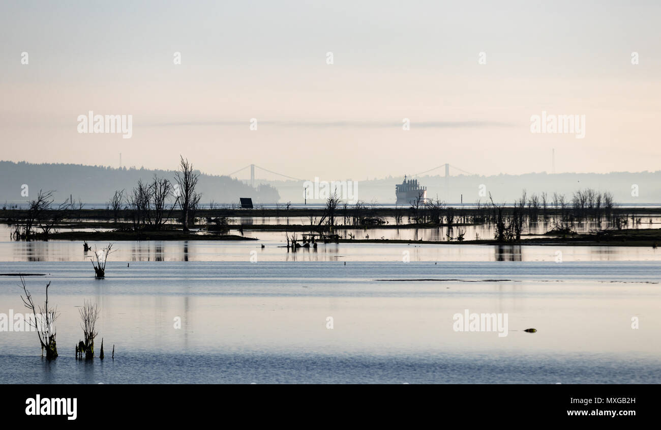 Cargo ship passing through foggy delta with bridge in background Stock ...