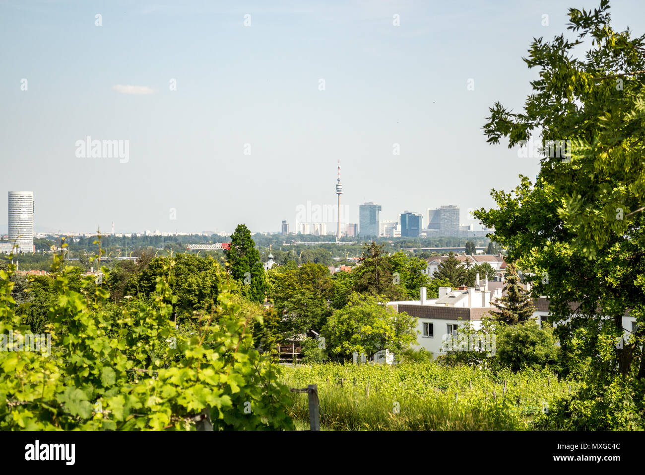 Vineyards of Vienna in the Grinzing area Stock Photo - Alamy