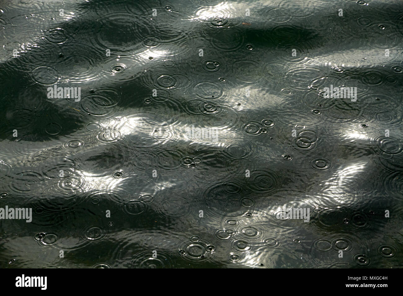 Rain drops on the sea Stock Photo - Alamy