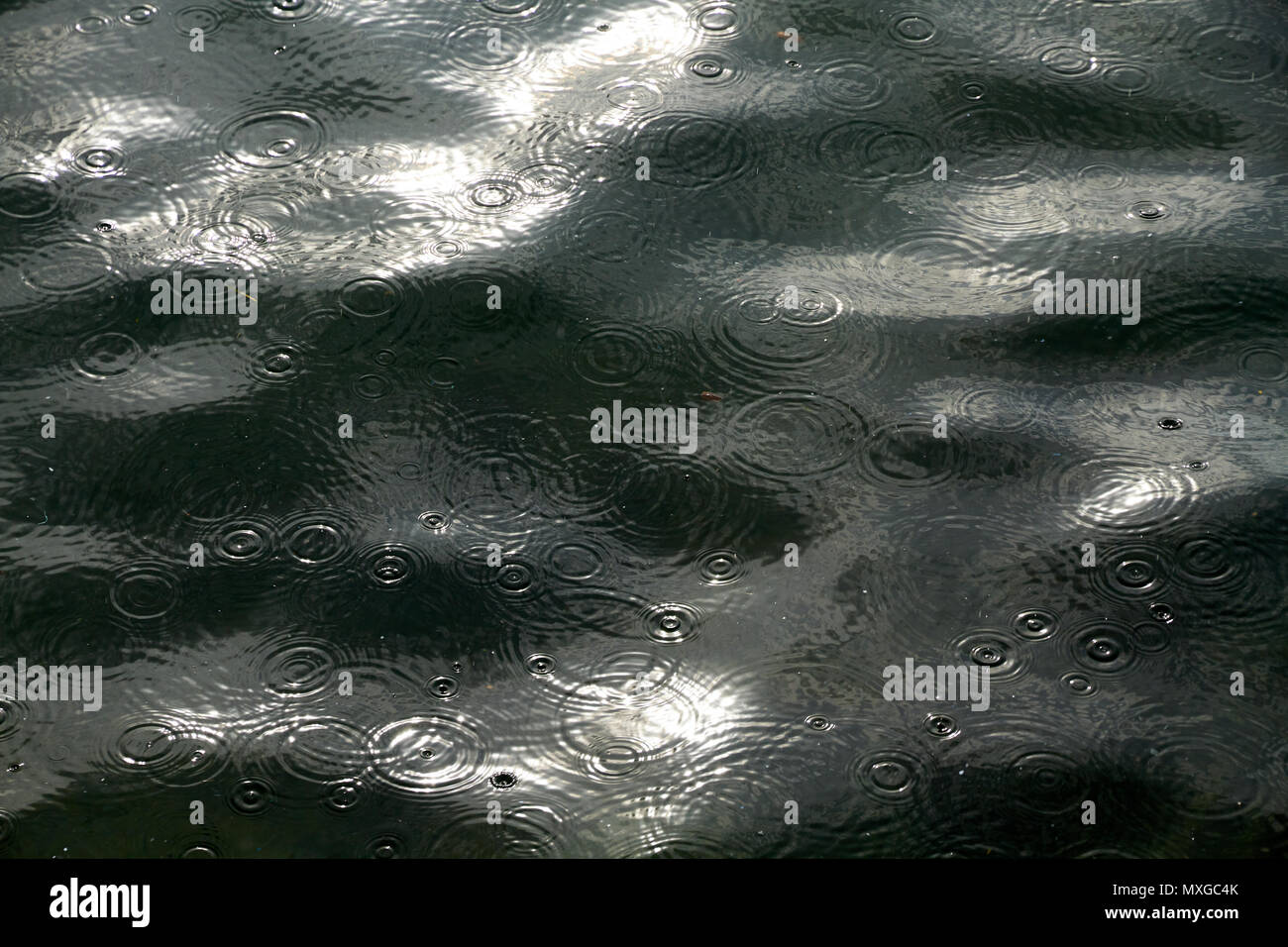 Rain drops on the sea Stock Photo - Alamy