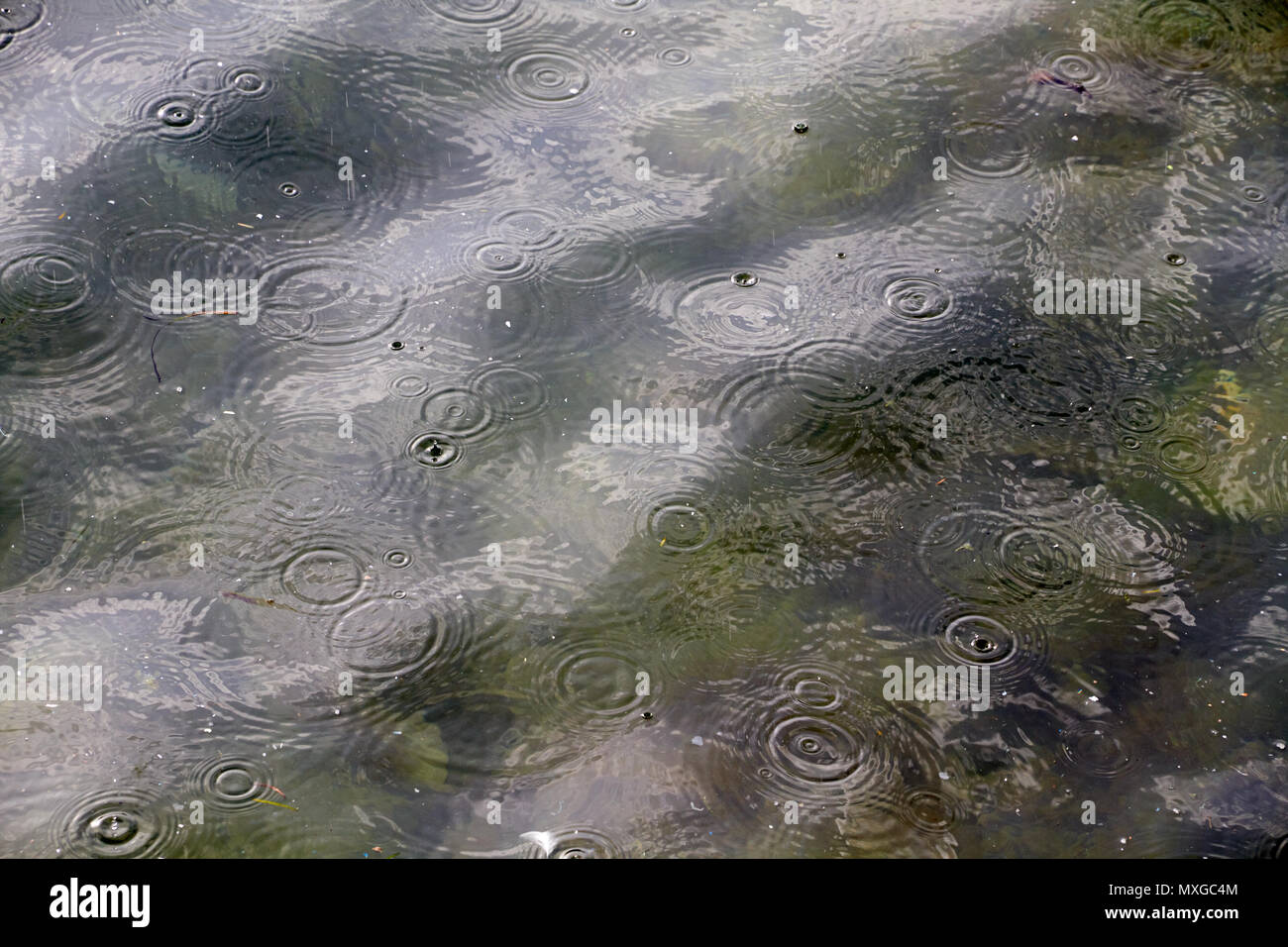 Rain drops on the sea Stock Photo - Alamy
