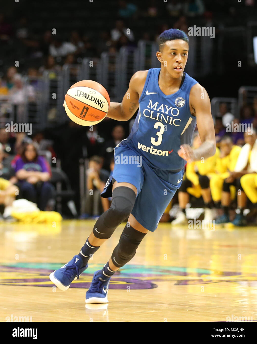 Danielle Robinson Wnba