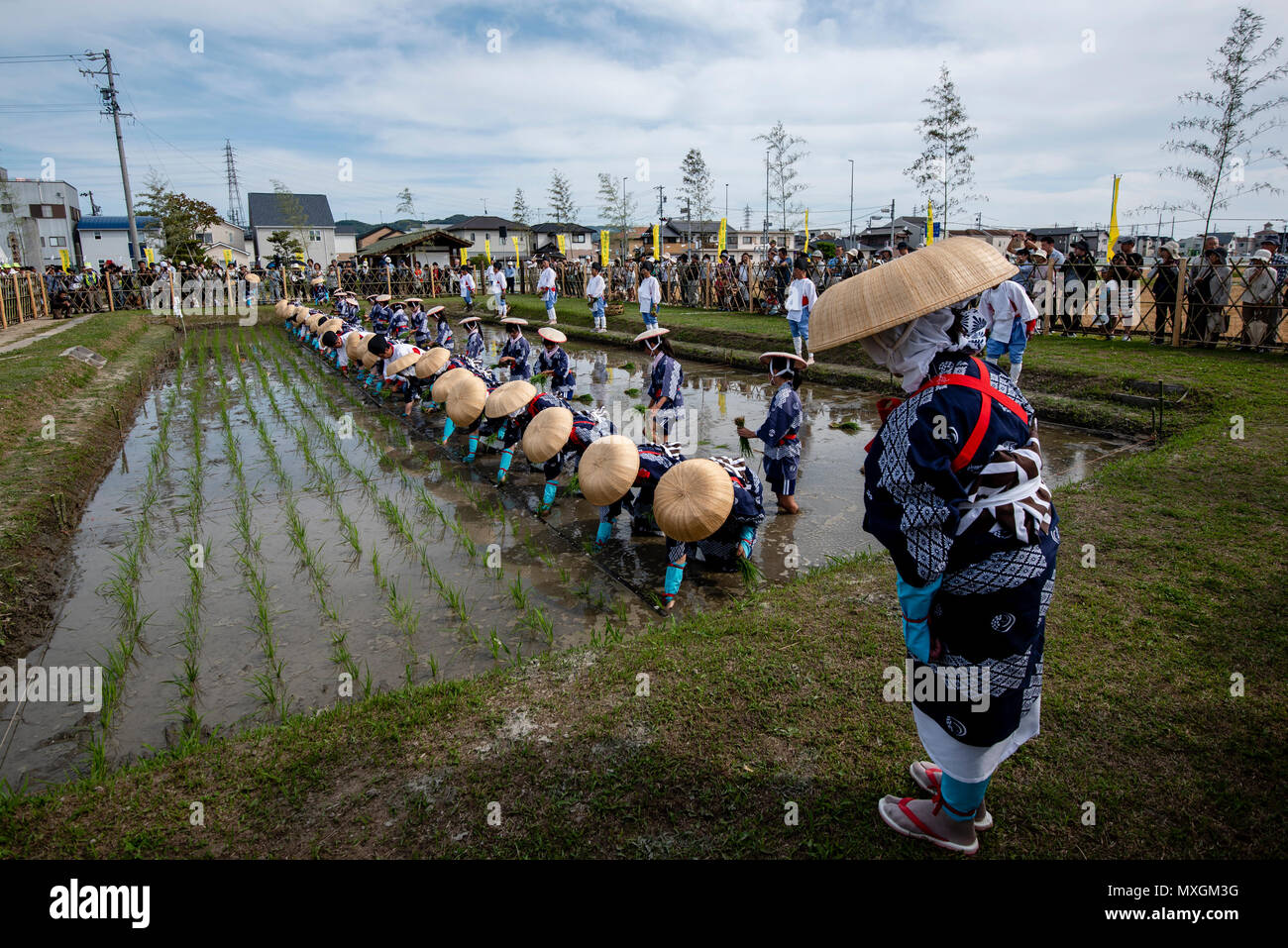 Japan rice planting machine hi-res stock photography and images - Alamy