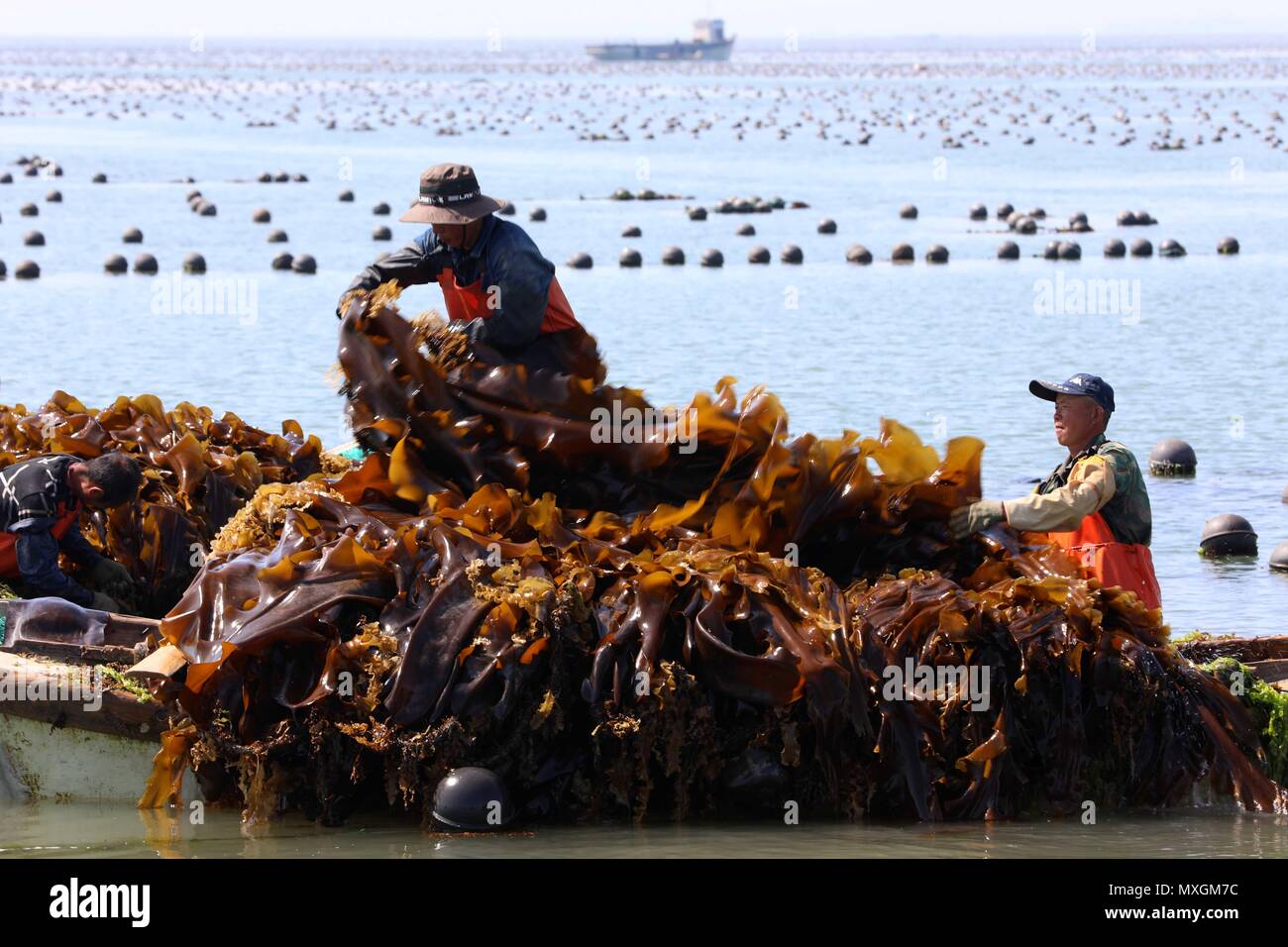 Rongchen hi-res stock photography and images - Alamy