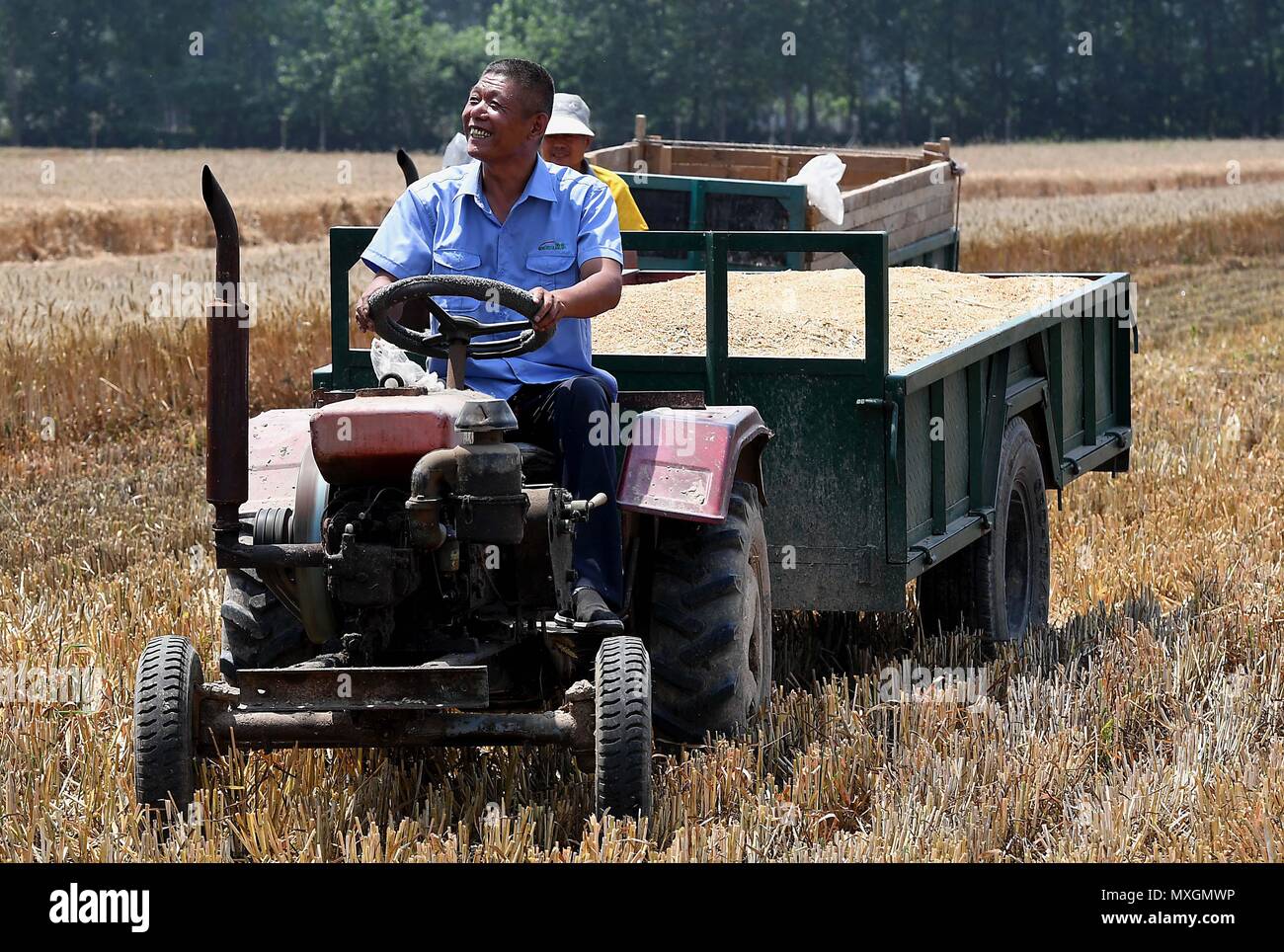 Junting season hi-res stock photography and images - Alamy
