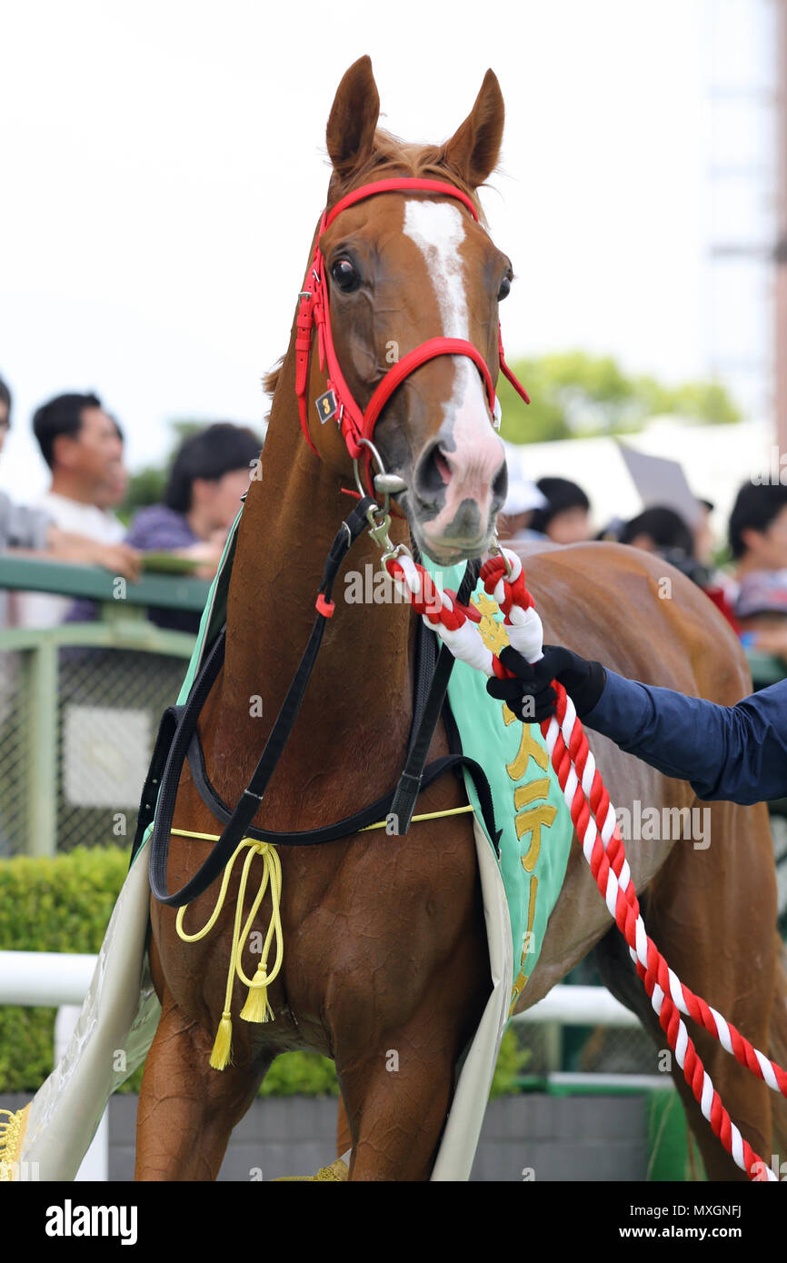 Queen horse racing hi-res stock photography and images - Alamy