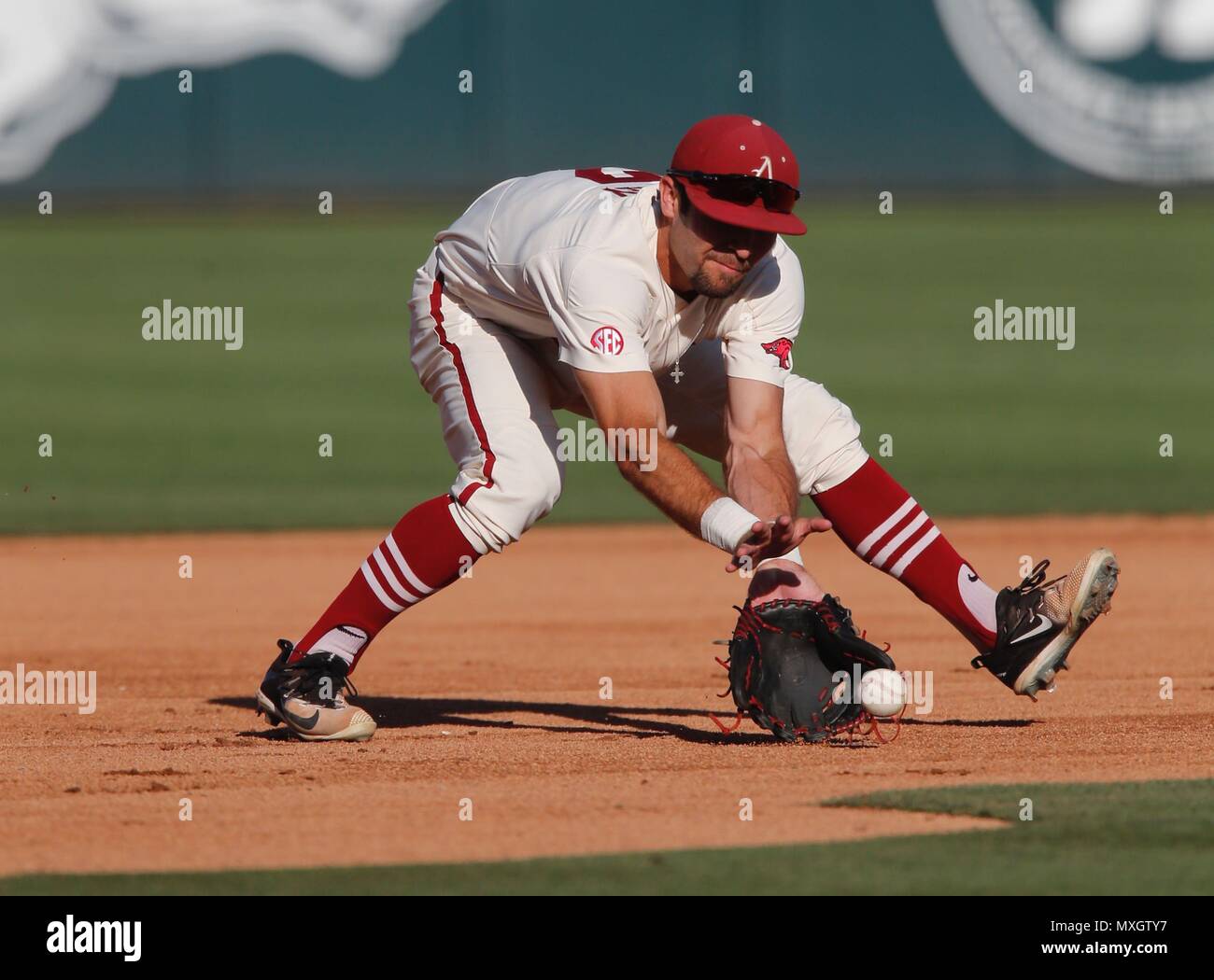 Arkansas razorback baseball field hi-res stock photography and images ...