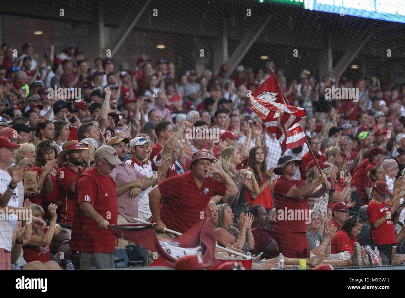 Jun 3, 2018: Razorback fans stand to cheer following a pitching change ...