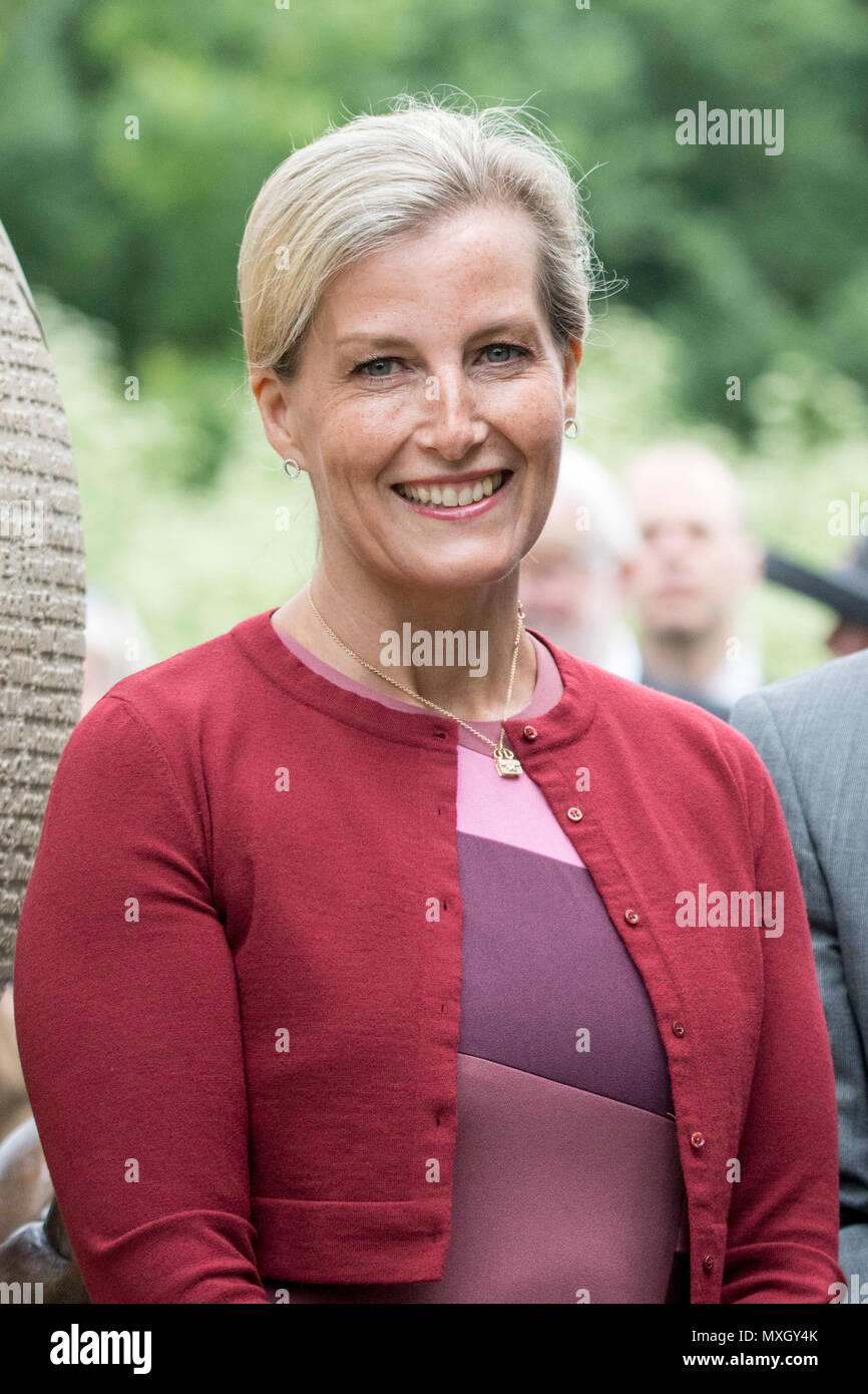 Staffordshire, UK. 4 June 2018 - HRH Sophie, the Countess of Wessex ...
