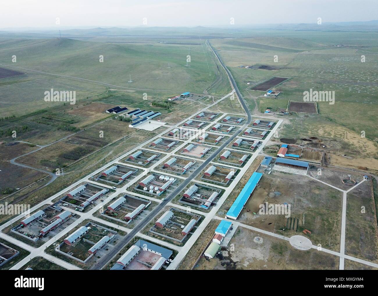 Xilingol, Xilingol, China. 3rd June, 2018. Xilingol, CHINA-3rd June ...