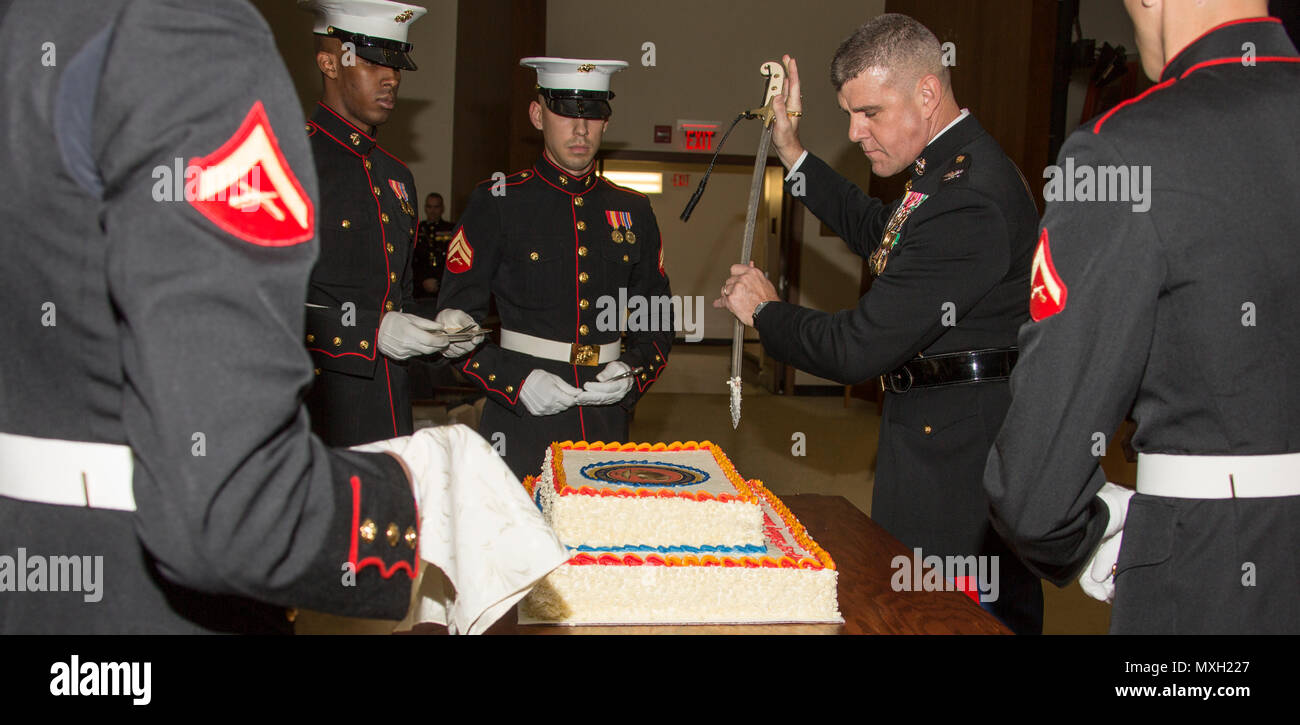 U.S. Marine Corps Col. Phillip W. Boggs, senior Marine officer assigned ...